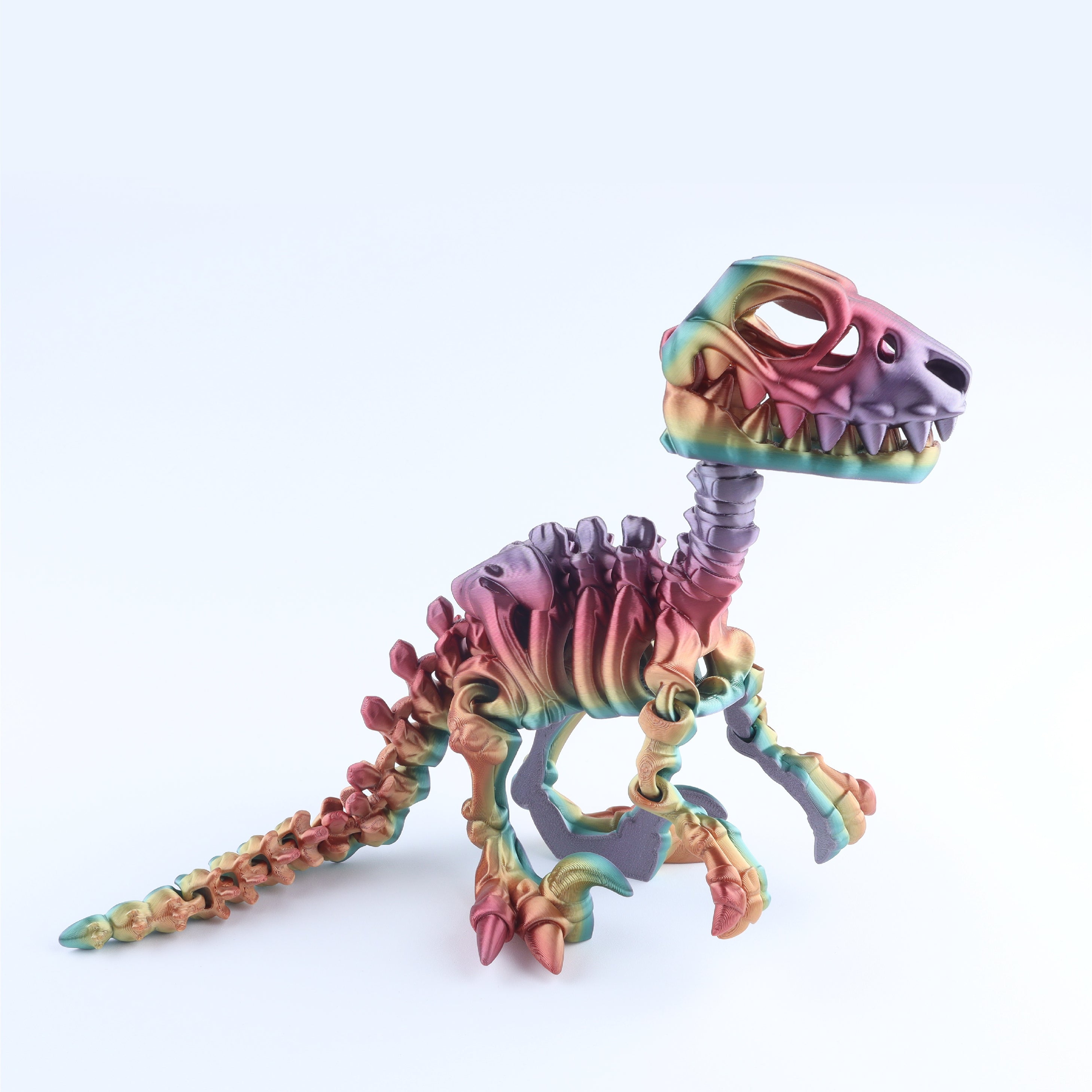 Raptor Skeleton – Crafts 3D